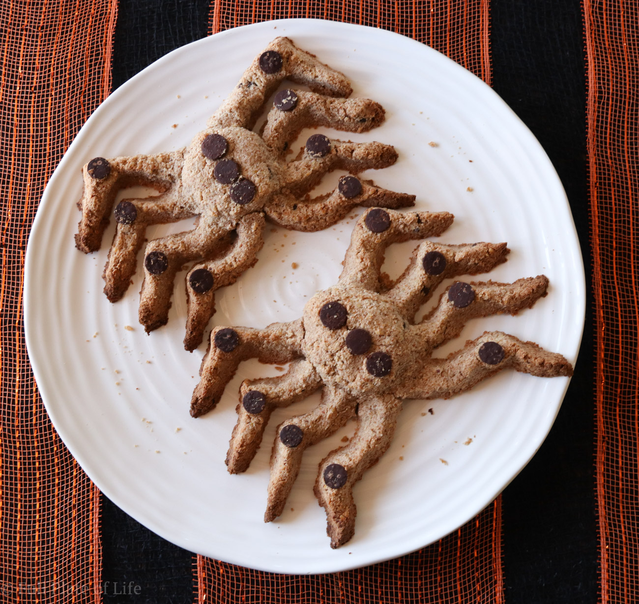 Organic Halloween Chocolate Chip Spider Cookies | Reclaim Optimal Health